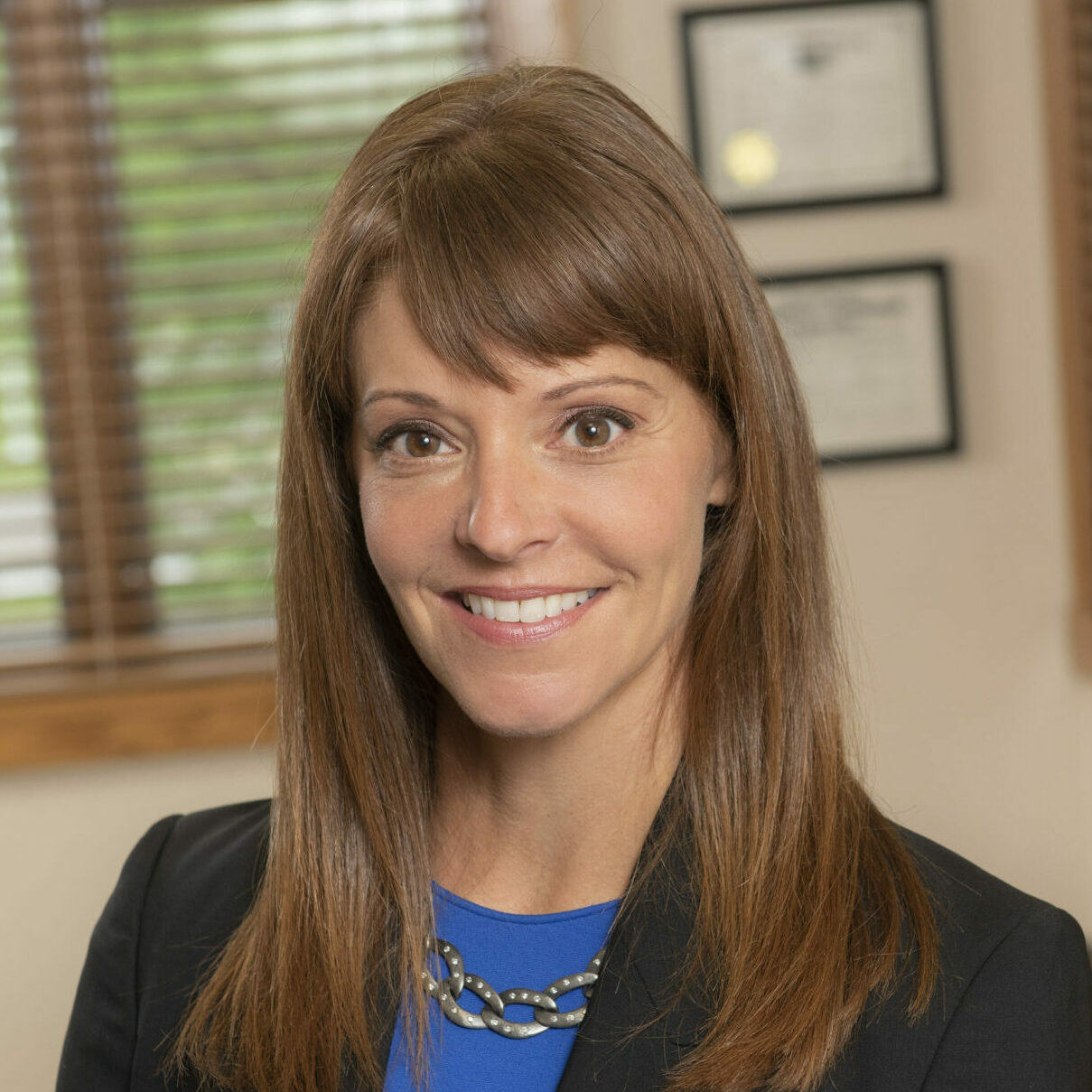 Women Lawyers of the North